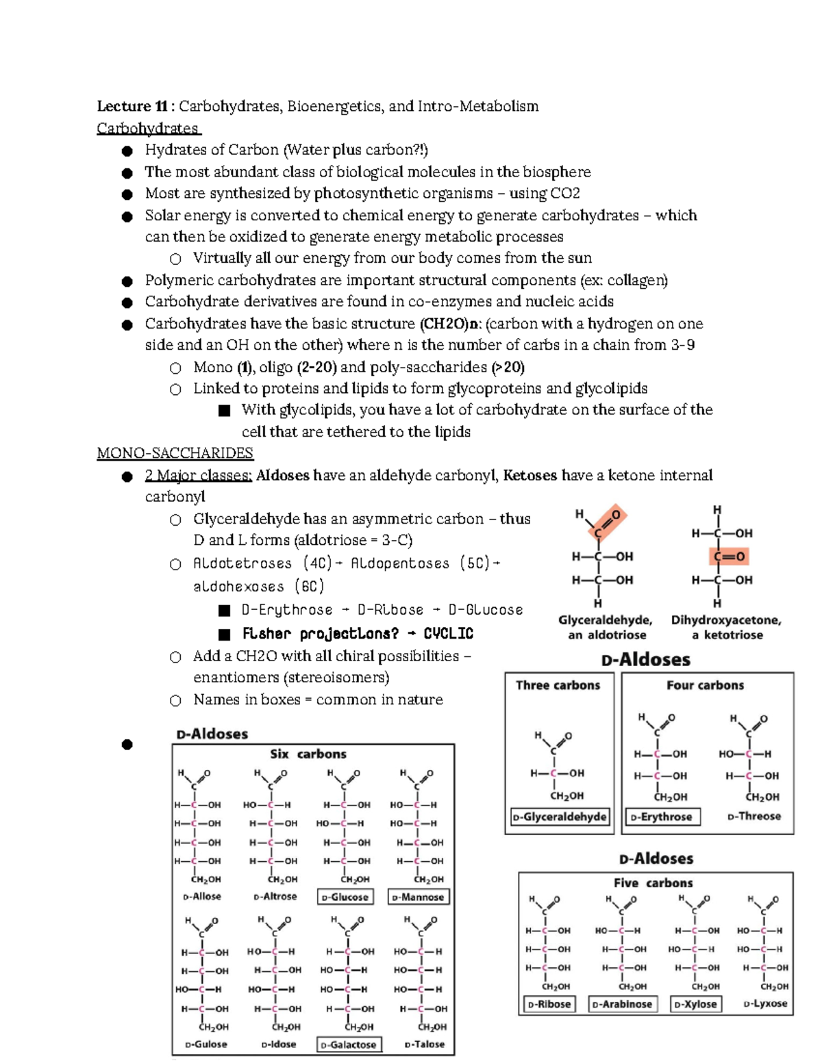 Lecture 11 - Biochemistry - Lecture 11 : Carbohydrates, Bioenergetics ...