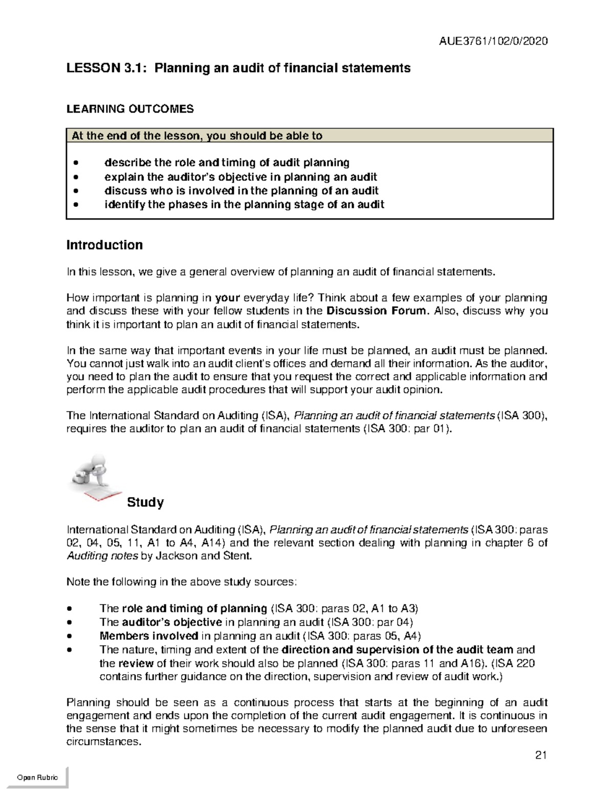 Lesson 3.1 Planning an audit of financial statements - AUE3761/102/0 ...