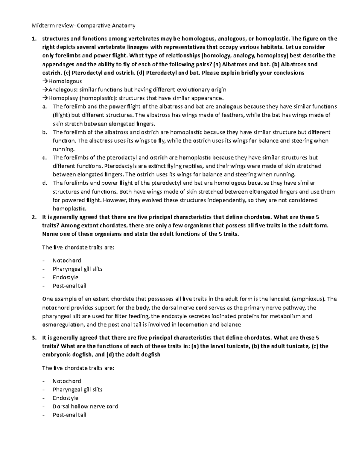 Comparative anatomy lecture midterm review - Midterm review ...