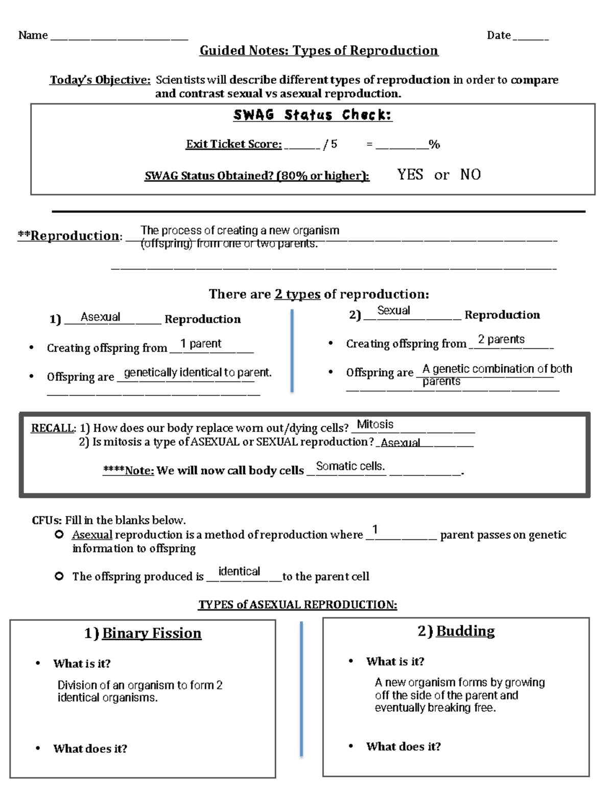 Types of Reproduction Guided Notes - Name ...