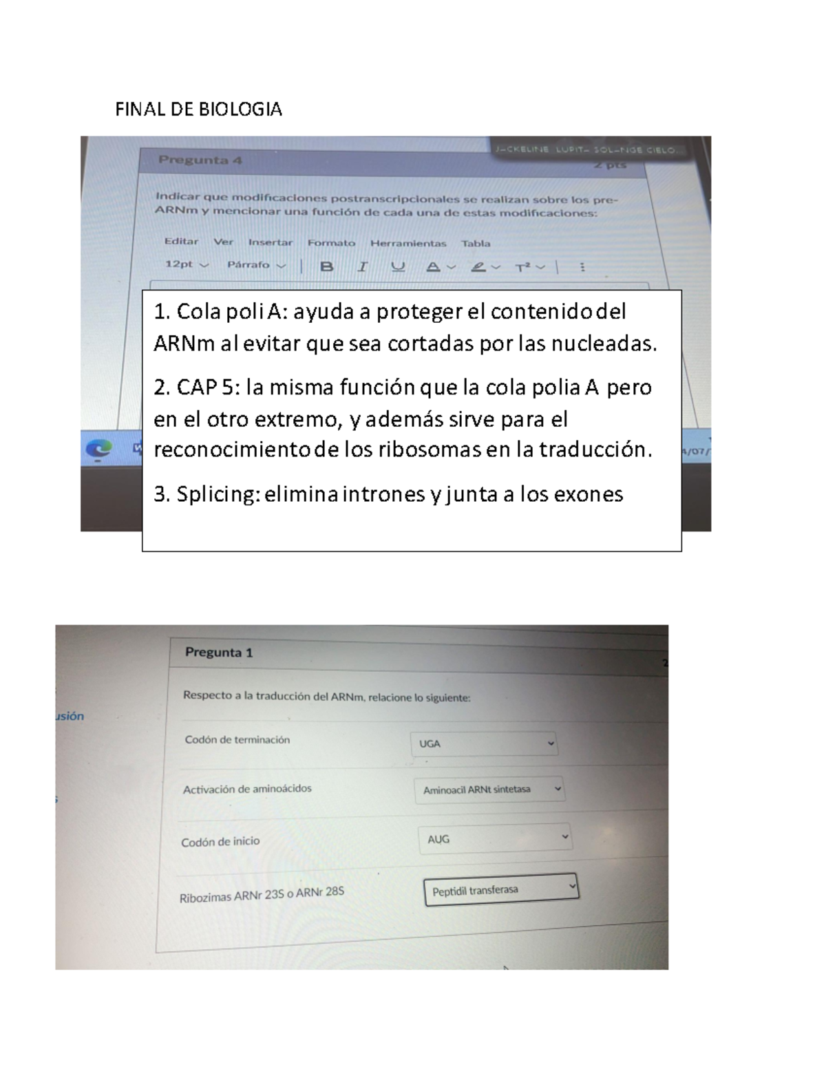 Examen final bio teo jhonathan tuya - FINAL DE BIOLOGIA Cola poli A ...