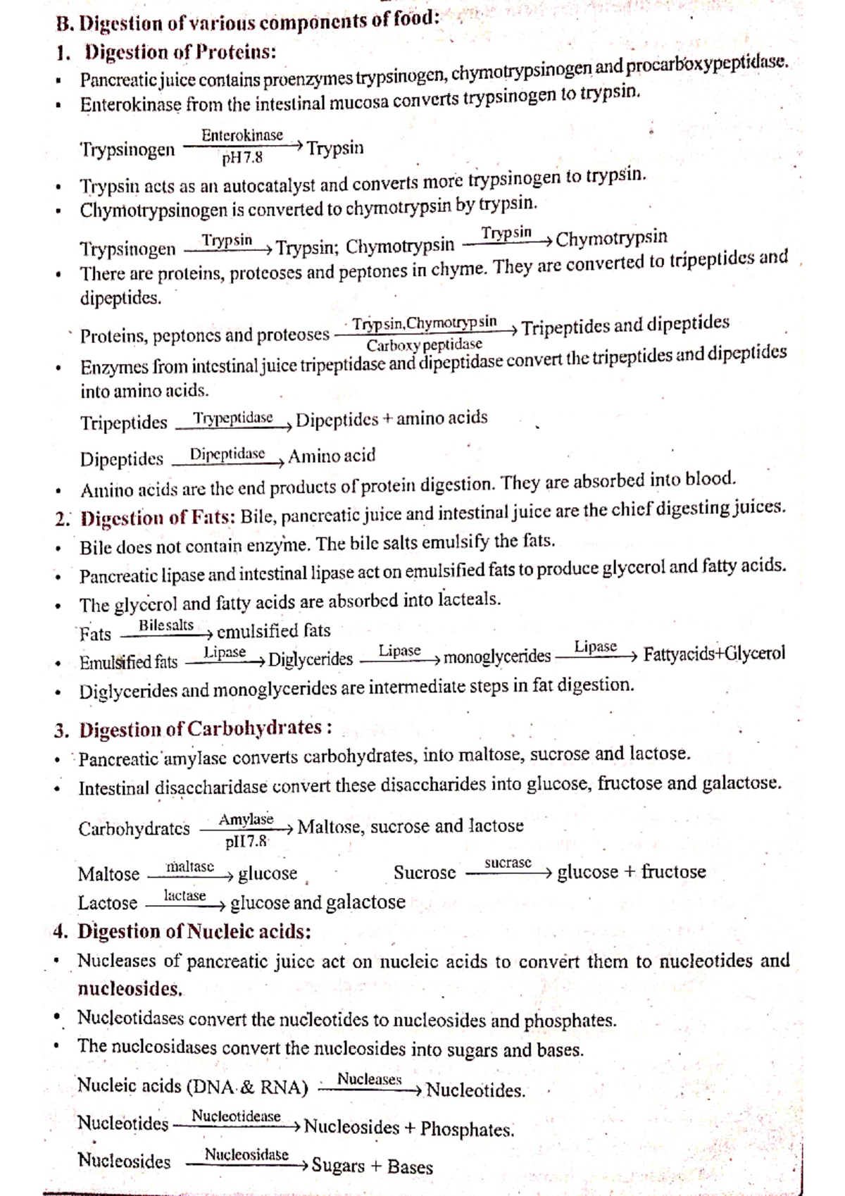 digestion and absorption study notes - Applied Zoology I - Studocu