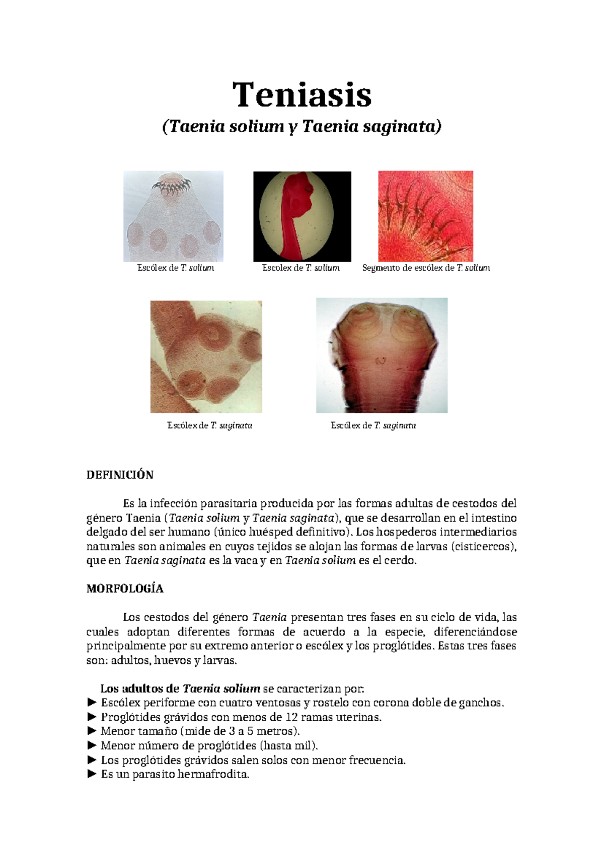 Teniasis Revisado - Resumen Parasitología - Teniasis (Taenia solium y ...