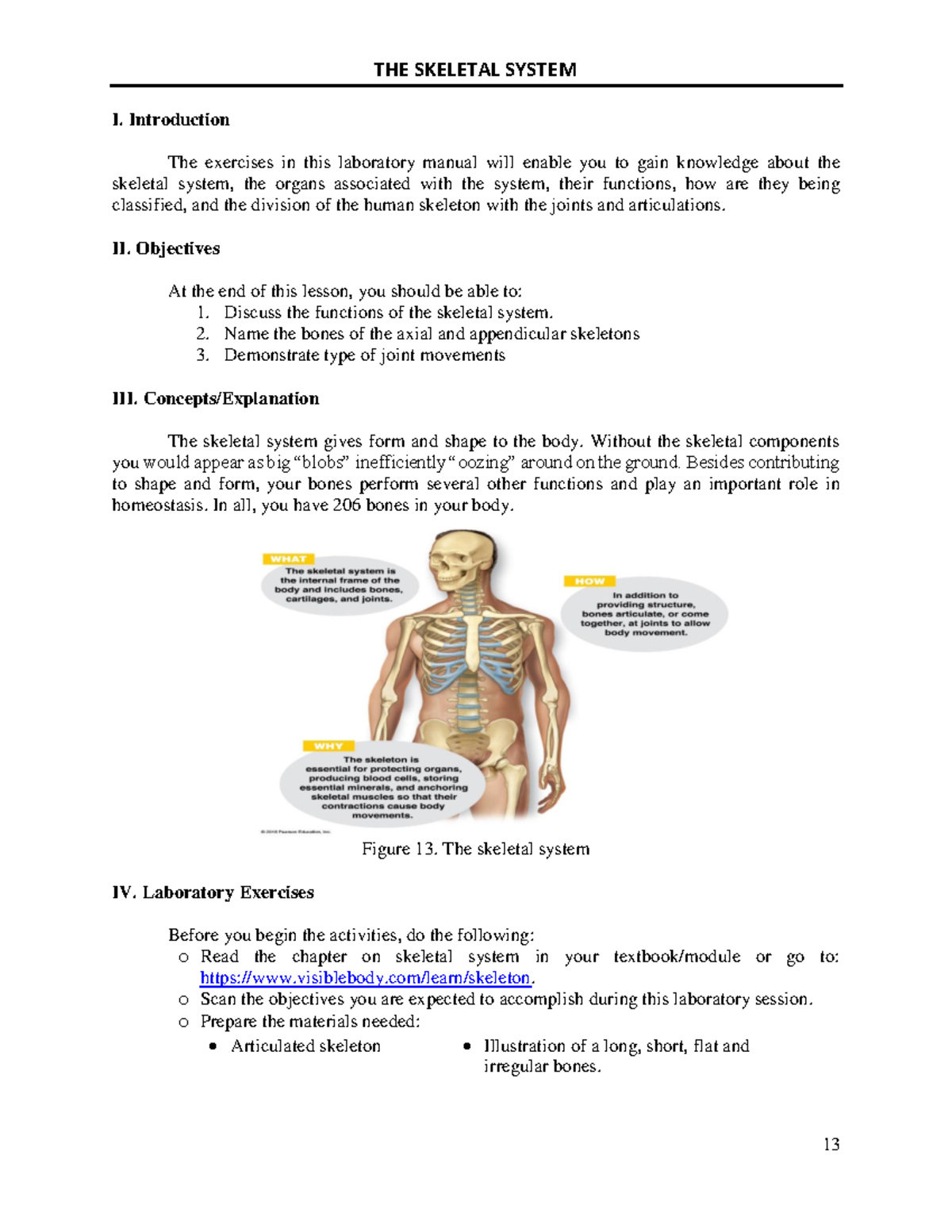 3. Manual Skeletal System - I. Introduction The exercises in this ...