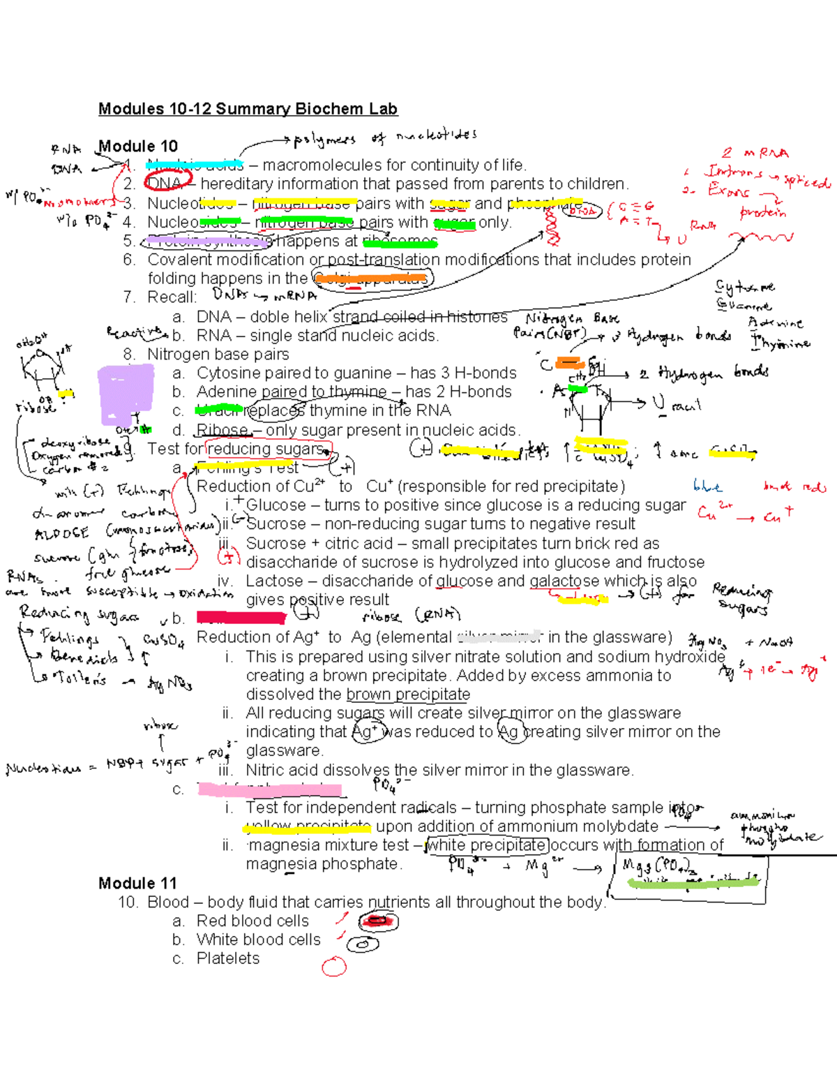 Modules-10-12-Summary-Biochem-Lab - Modules 10-12 Summary Biochem Lab ...