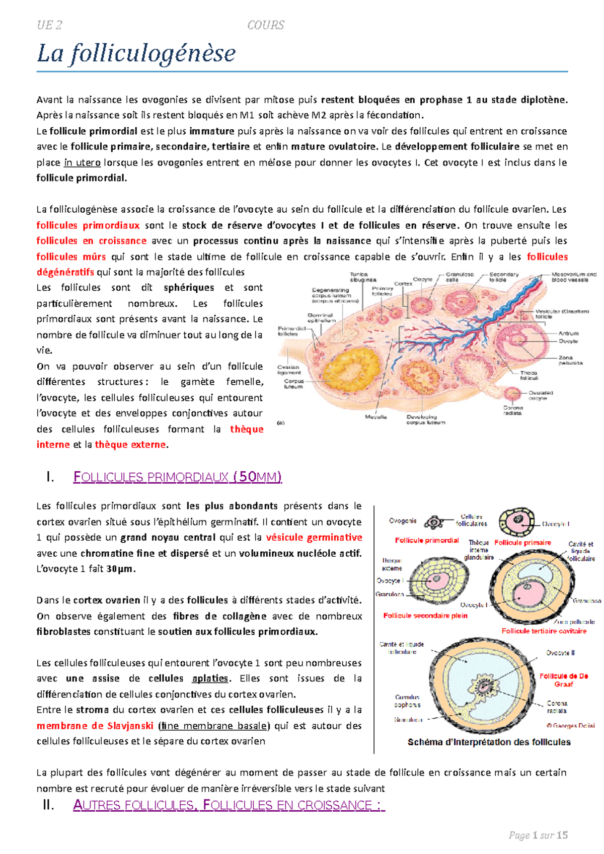 C4 - La folliculogénèse - La folliculogénèse Avant la naissance les ...