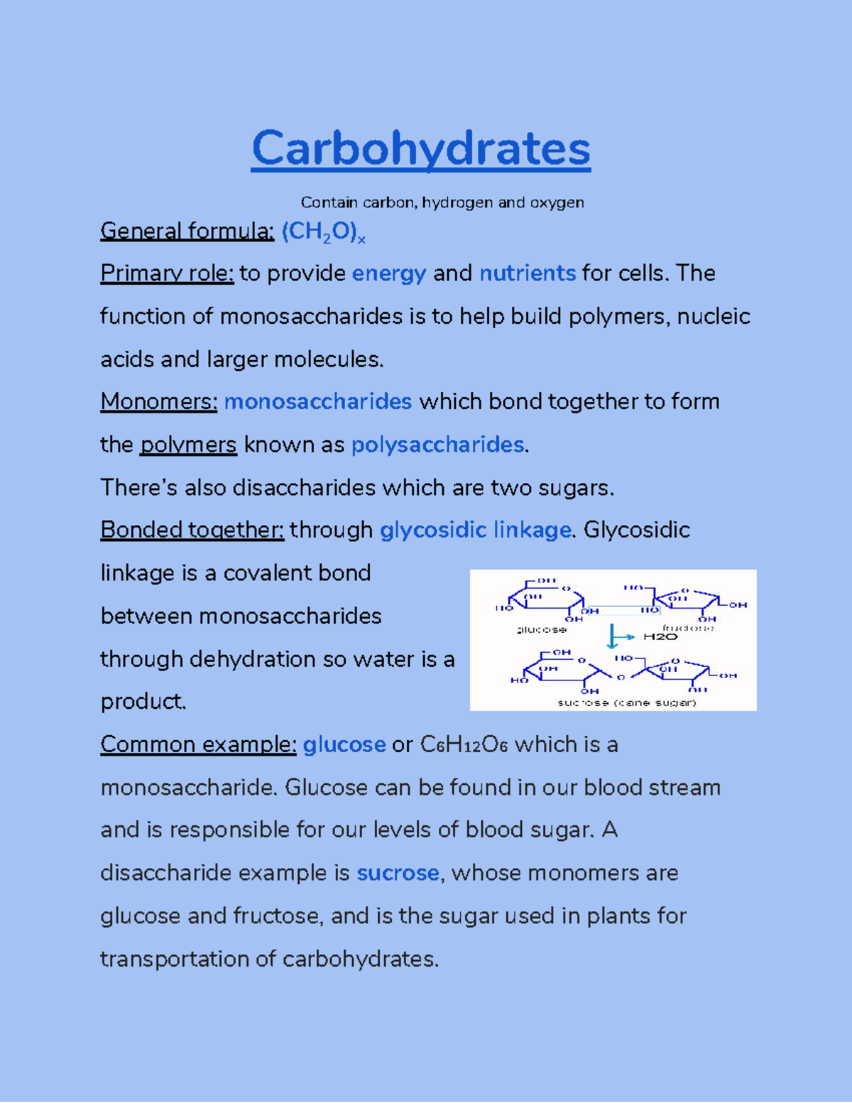 Carbohydrates flyer: - explains carbohydrate summary - Carbohydrates ...