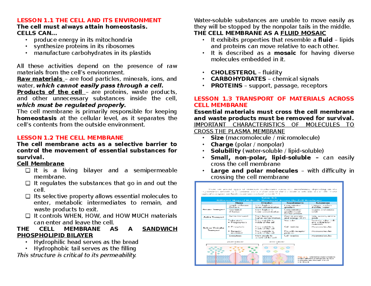 Biorev - Biology - LESSON 1 THE CELL AND ITS ENVIRONMENT The cell must ...
