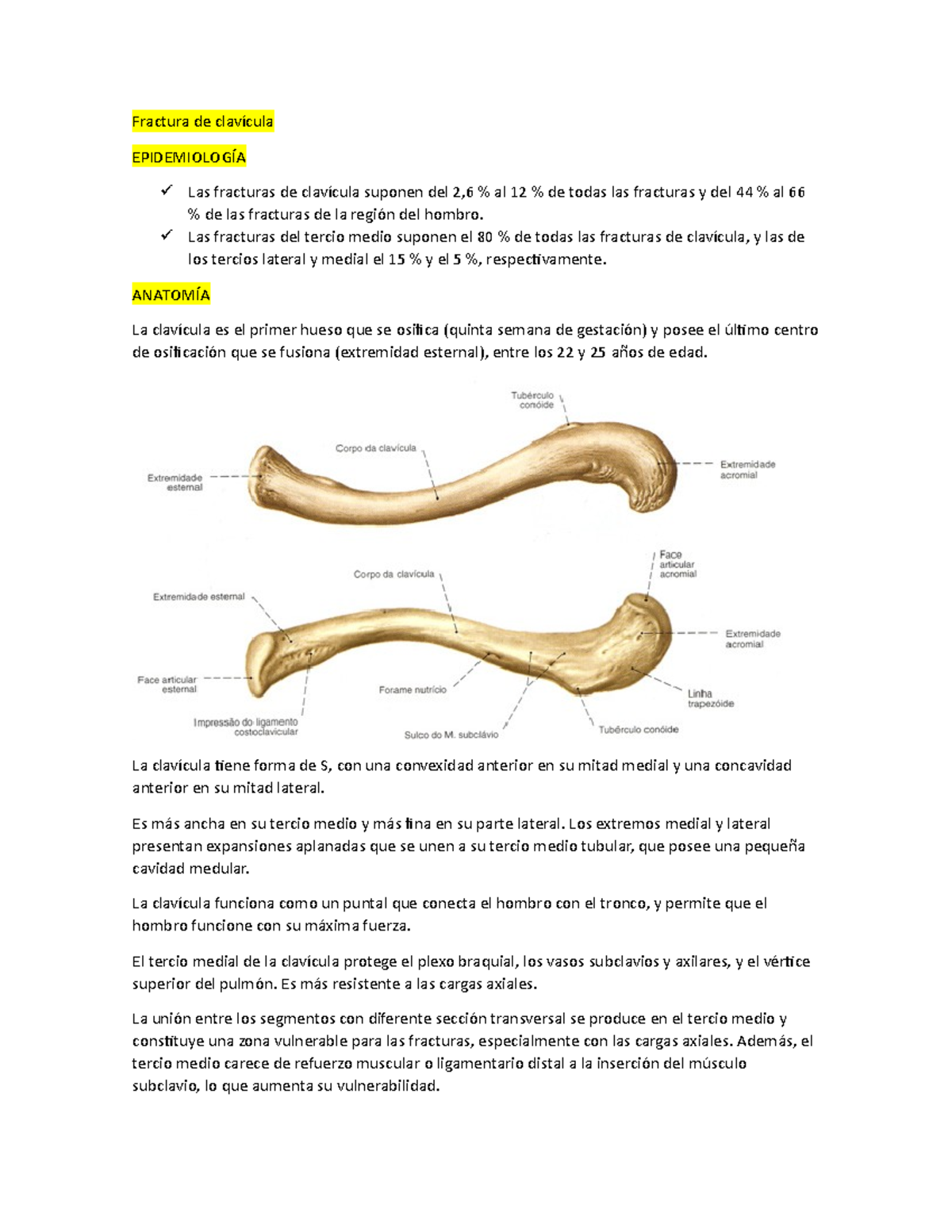 Fractura de Clavicula: intervención y tratamiento - Fractura de ...