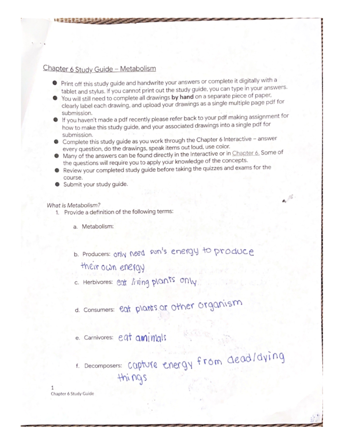 Chapter 6 Study Guide - Metabolism (1) done - BIO 1410 - Studocu