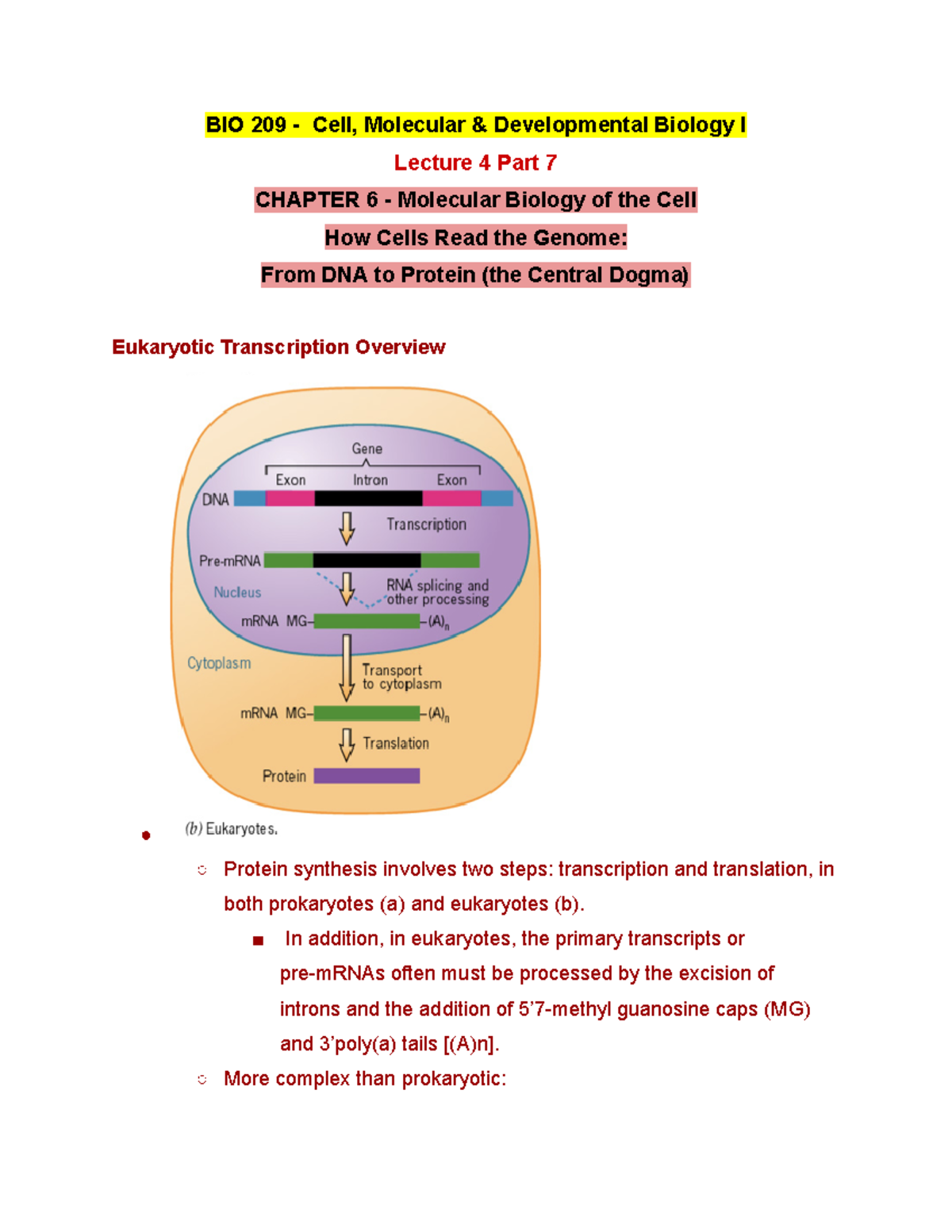 BIO 209 Lecture 4 Part 7 - Fall 2019 - BIO 209 - Cell, Molecular ...