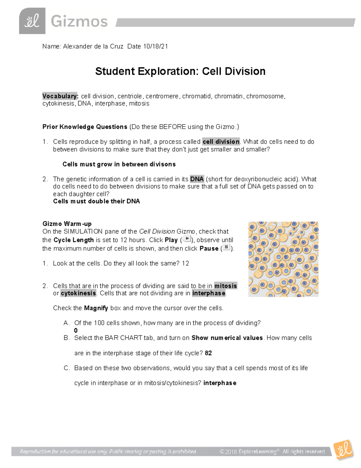 Cell Division SE finished - Copy answers for biology - BS 4400 - Studocu