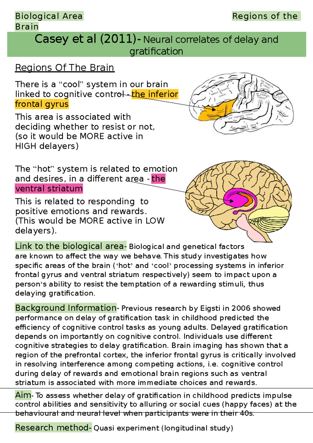 A- Level Psychology Biological Area Notes Casey - Biological Area ...