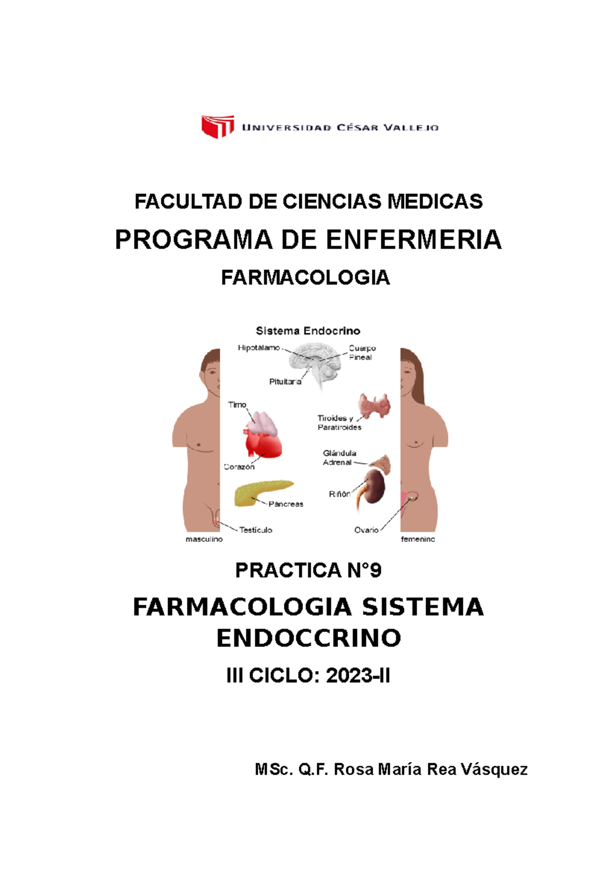 PATY - hola - FACULTAD DE CIENCIAS MEDICAS PROGRAMA DE ENFERMERIA FARMACOLOGIA PRACTICA N° - Studocu