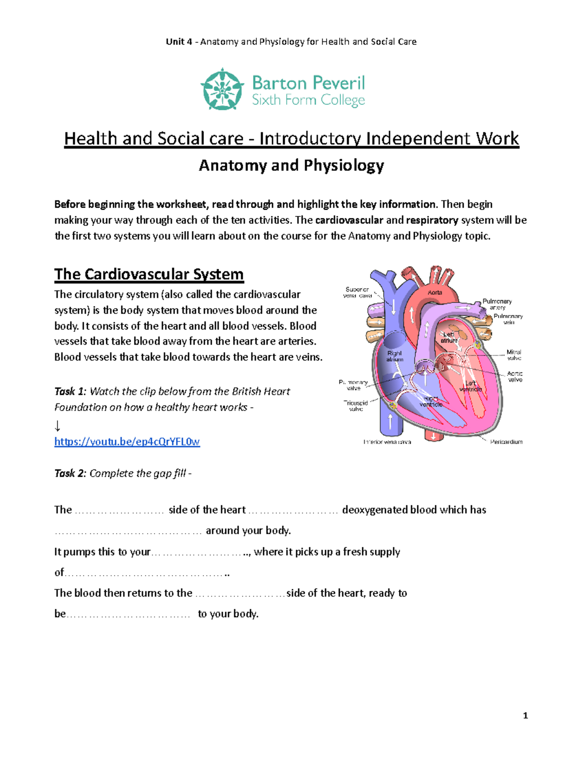 H and Sc Introductory Task 2021 2 - Health and Social care ...