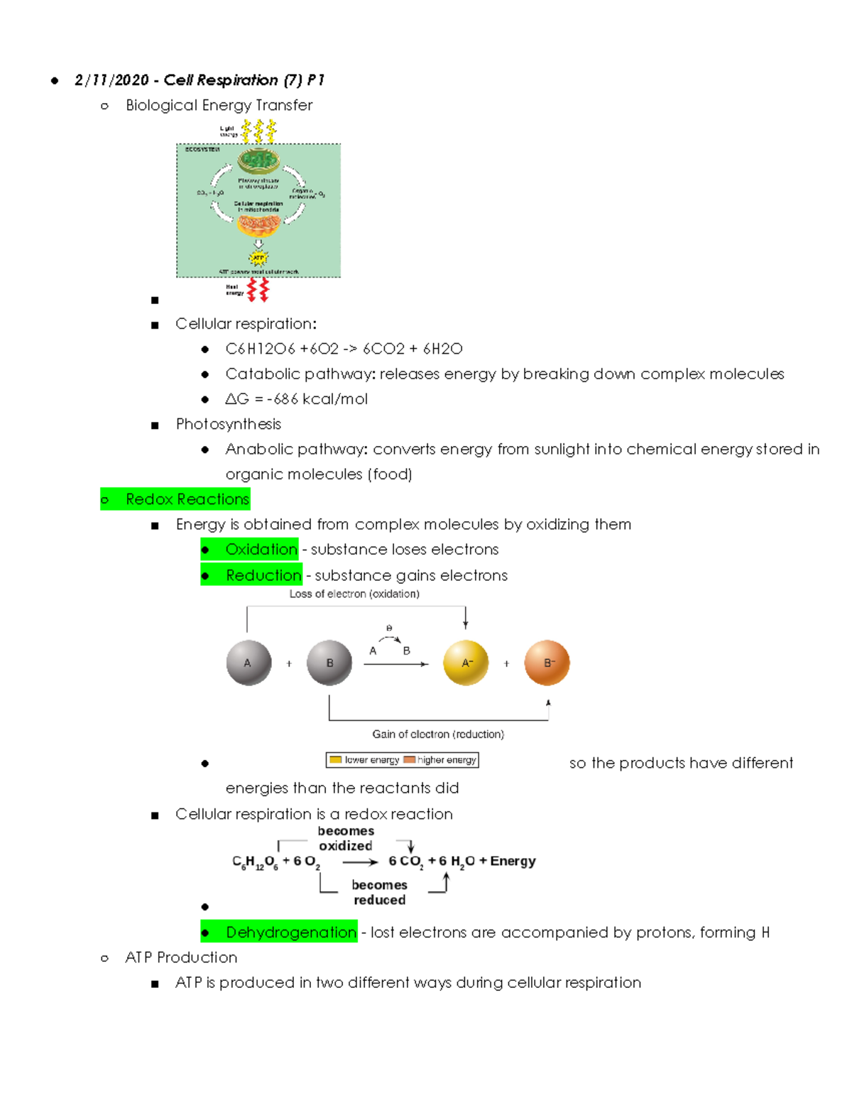 EXAM 2 Lecture Notes - 2/11/2020 - Cell Respiration (7) P Biological ...