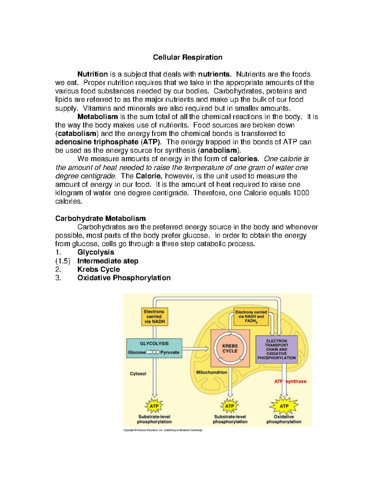 6 Cellular Respiration - Cellular Respiration Nutrition is a subject ...
