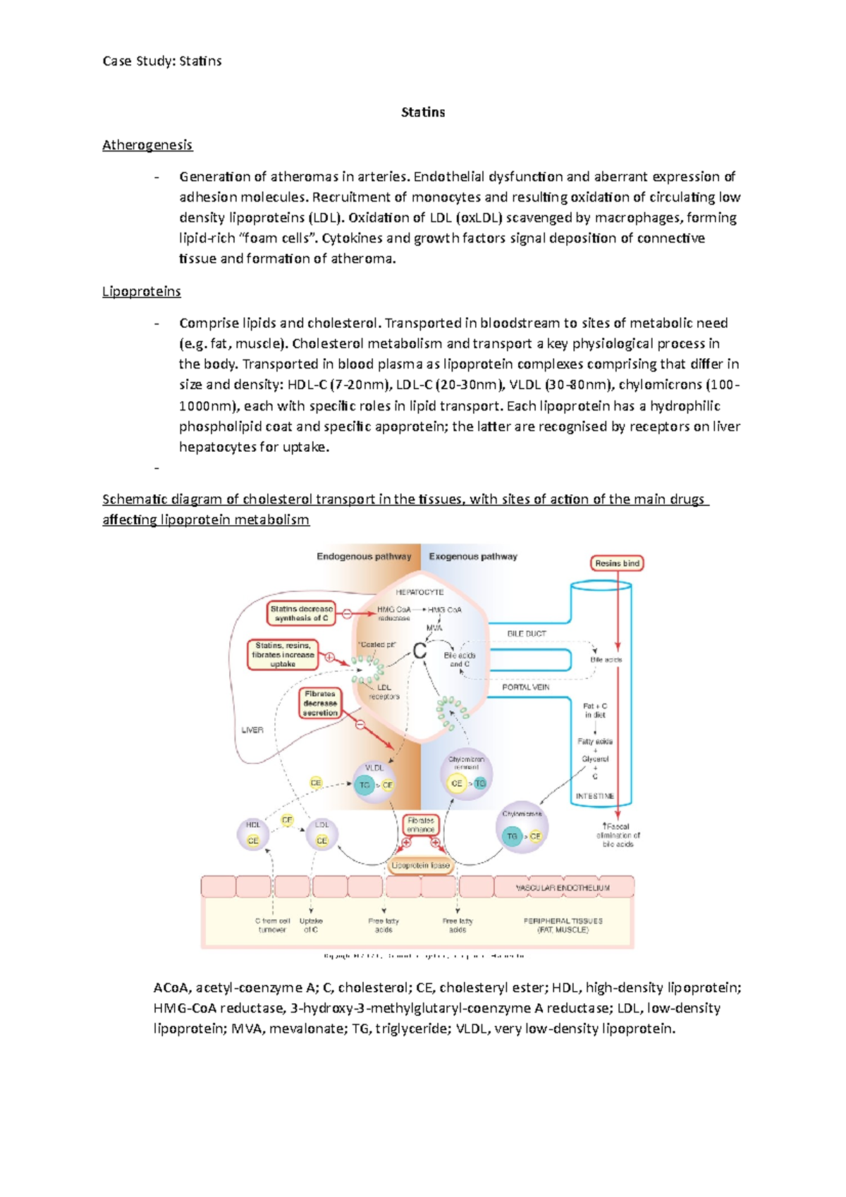 Statins - notes - Case Study: Statins Statins Atherogenesis Generation ...
