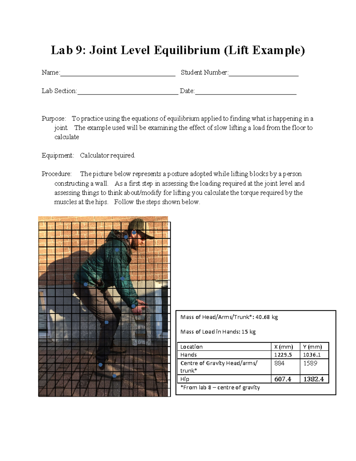 Lab 9 equilibrium, joint levels 20 - Lab 9: Joint Level Equilibrium ...