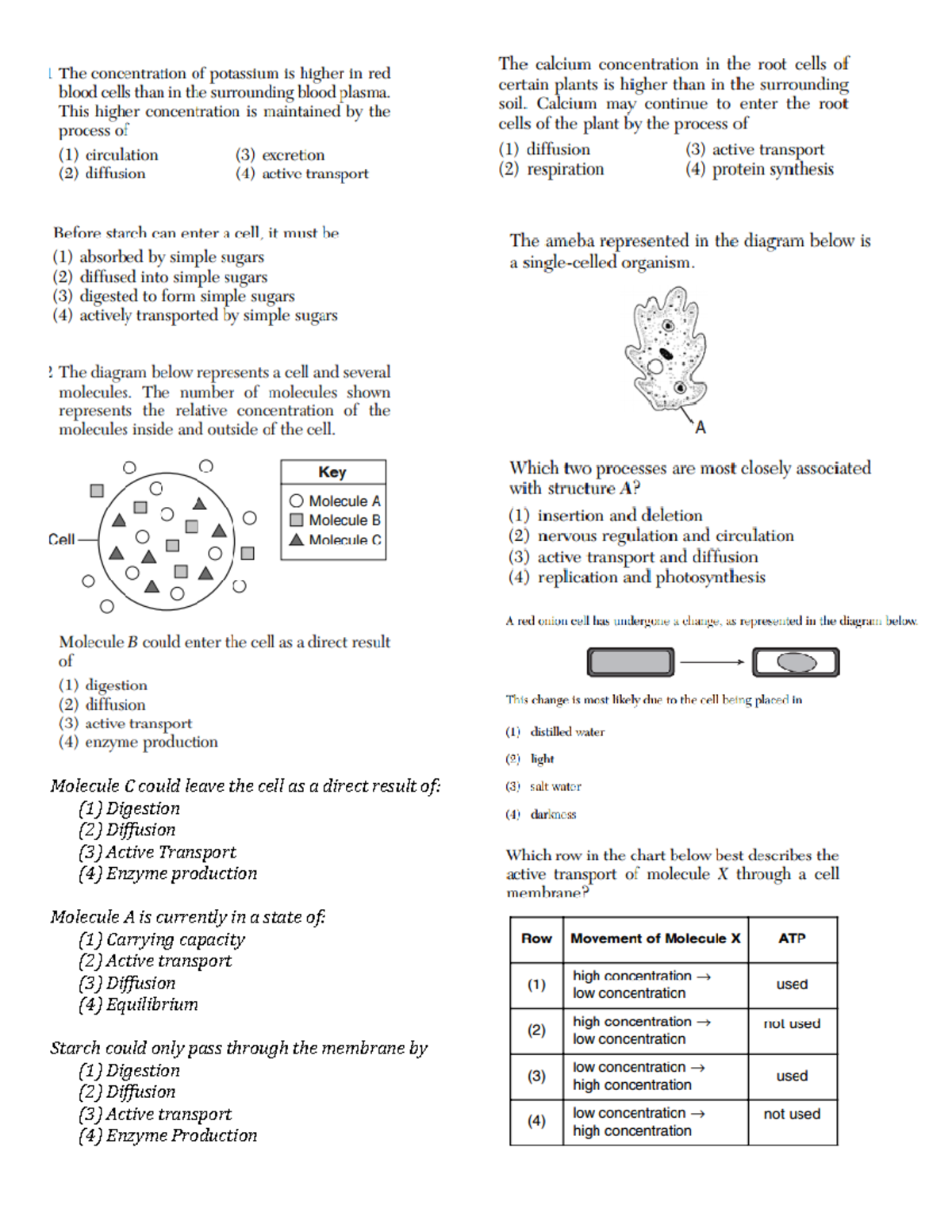 15 - Cell Transport Regents Practice Questions - Molecule C could leave ...