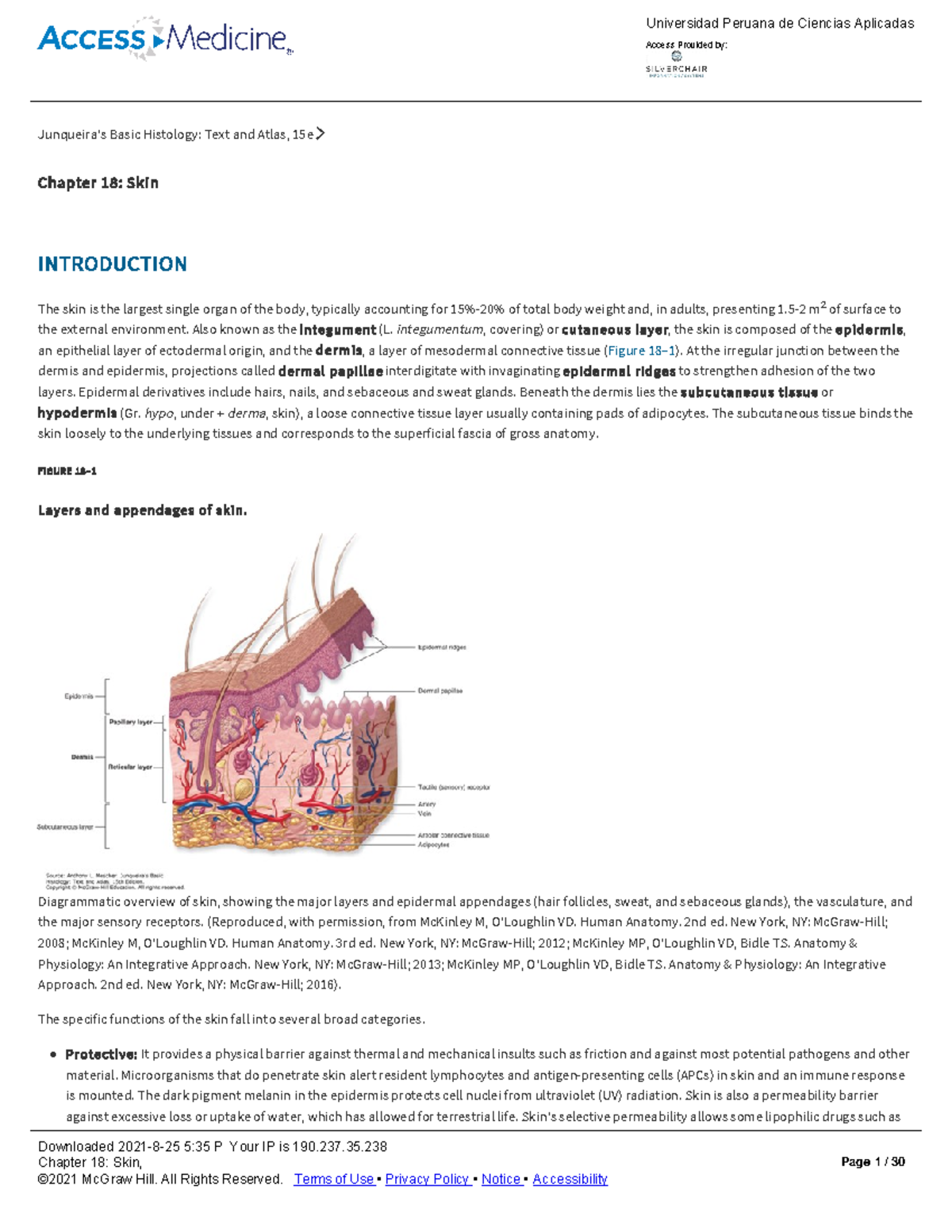 Chapter 18 Skin_Sistema Tegumentario - Junqueira’s Basic Histology ...