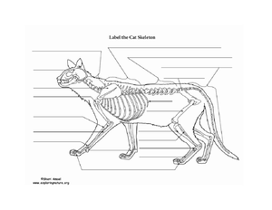 Evolution Textbook Notes - Evolution – 4th Edition Douglas J. Futuyma ...