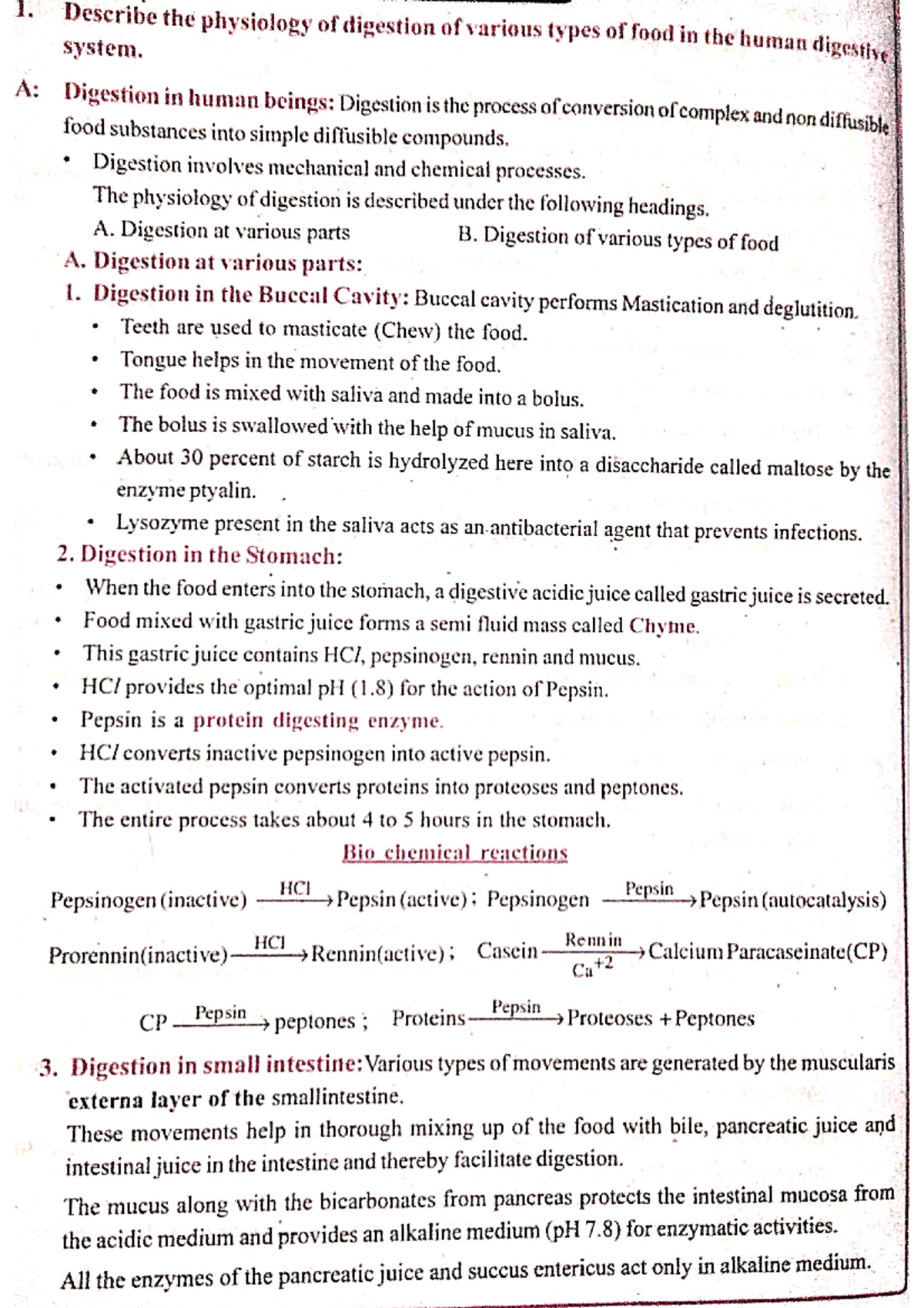 digestion and absorption study notes - Applied Zoology I - Studocu