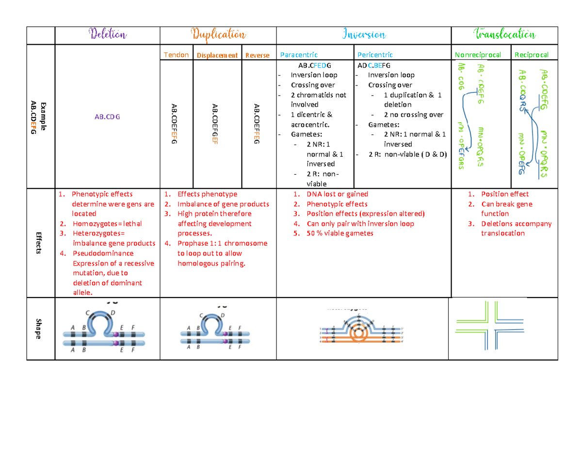 Mutation summary - AB EF G AB Tendon Displacement Reverse Paracentric ...