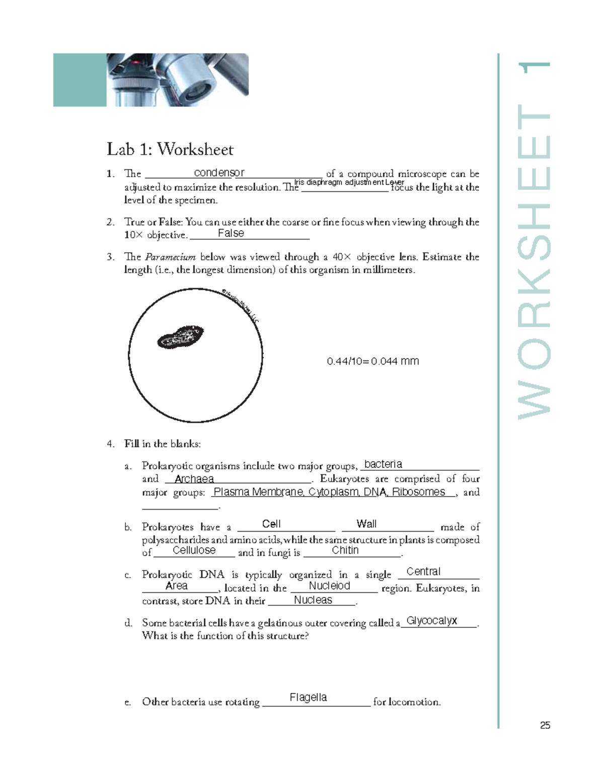Lab 1 worksheet biology forbiology 226 - Lab 1: Worksheet The