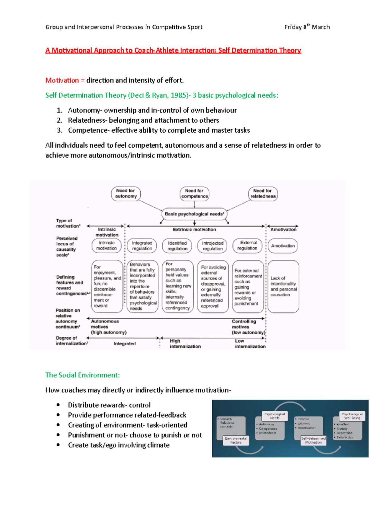 Group and Interpersonal Processes in Competitive Sport Lecture 5 - A ...