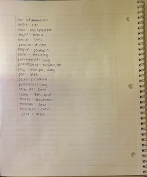 N1121- Bccnm Professional Standards of Practice - N1121 - Professional ...