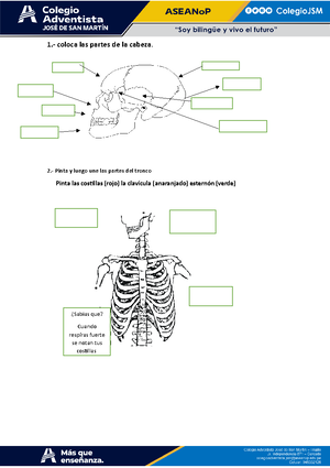Pizza de fracciones - 5ythvhhvf - Formulación y Evaluación de Proyectos ...