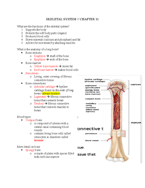 Pearson Chapter 1 Student Worksheet The Human Body - Chapter 1: The ...