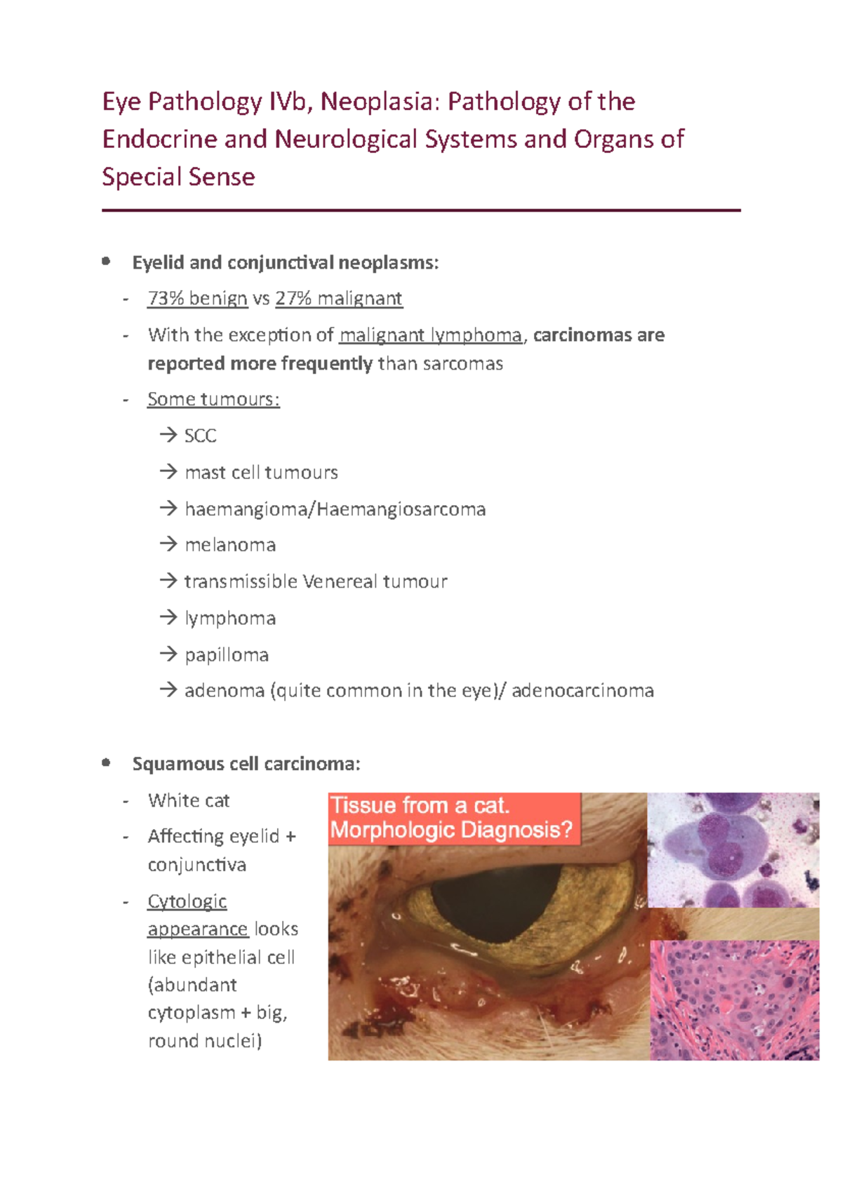Eye Pathology IVb neoplasia Pensoss - Eye Pathology IVb, Neoplasia ...