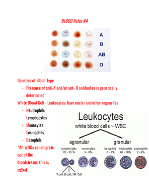 Blood Notes #1 - BLOOD Notes Cardiovascular System Heart, BLOOD, and ...