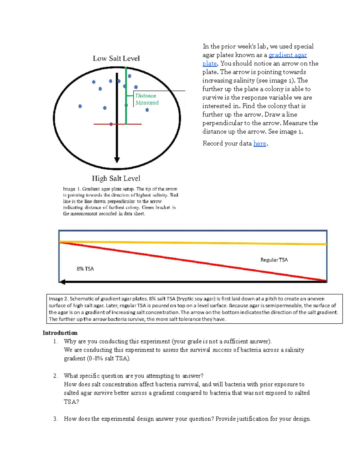 Biology salt lab - In the prior week's lab, we used special agar plates ...