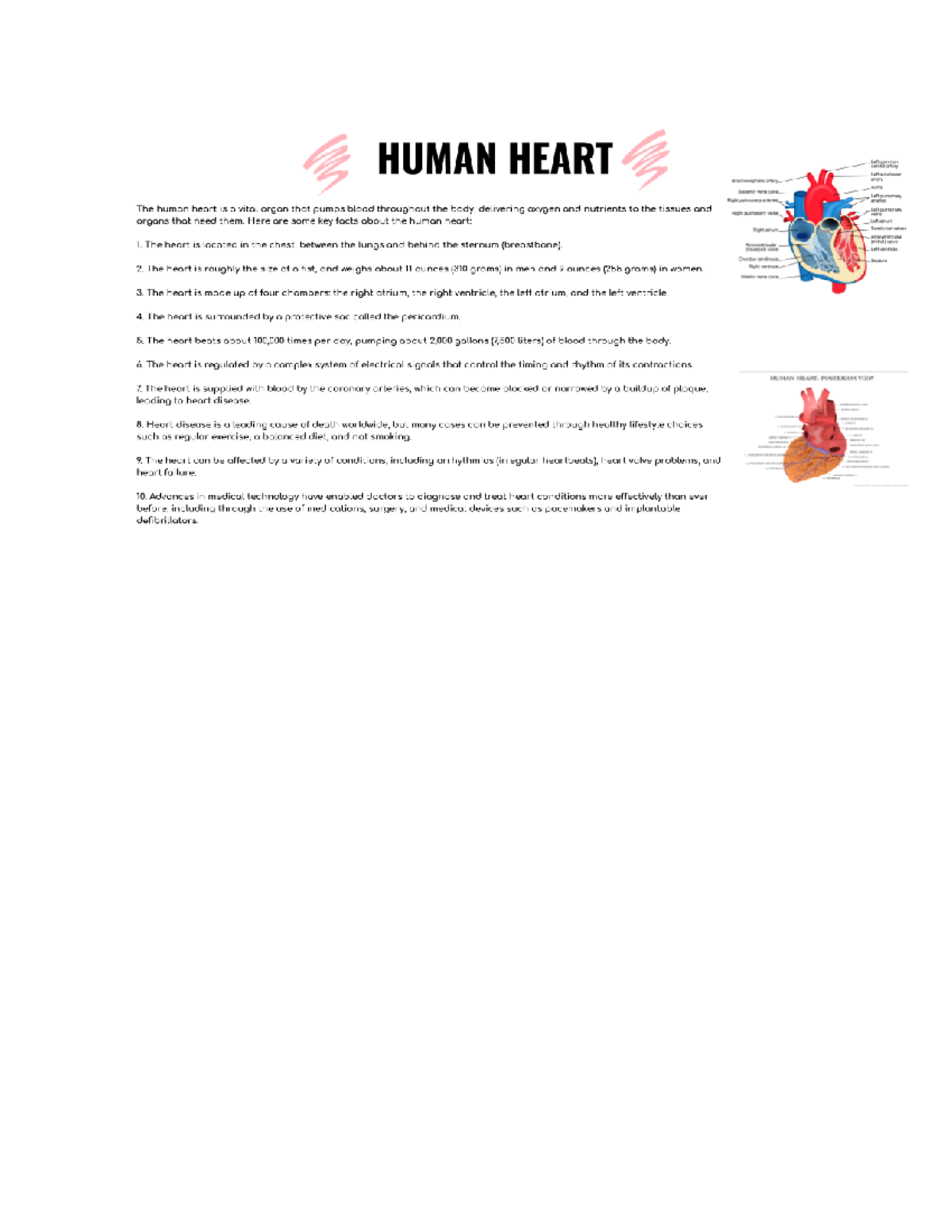 THE Human Heart - This will be very helpful on tests, good luck ...