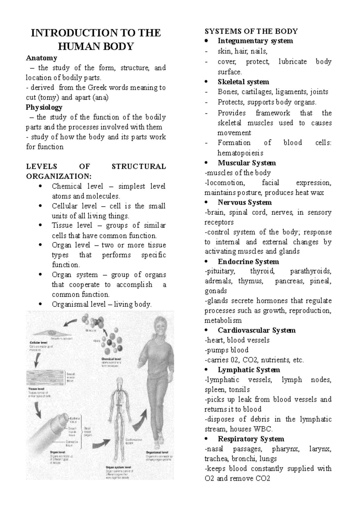 Anaphy prelims notes INTRODUCTION TO THE HUMAN BODY Anatomy The anaphy-prelims-notes-introduction-to-the-human-body-anatomy-the