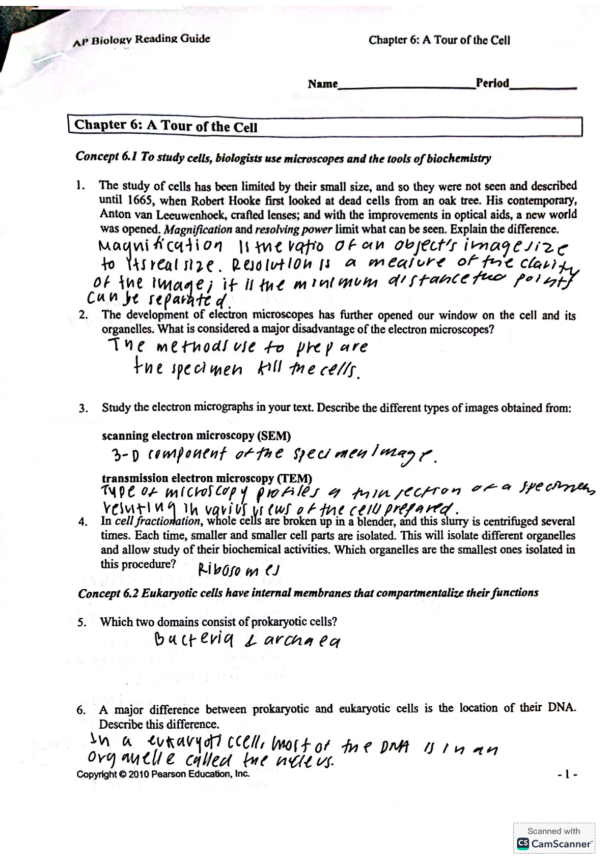 Chapter 6: A tour of the cell - AP Biology Reading Guide Chapter 6: A ...