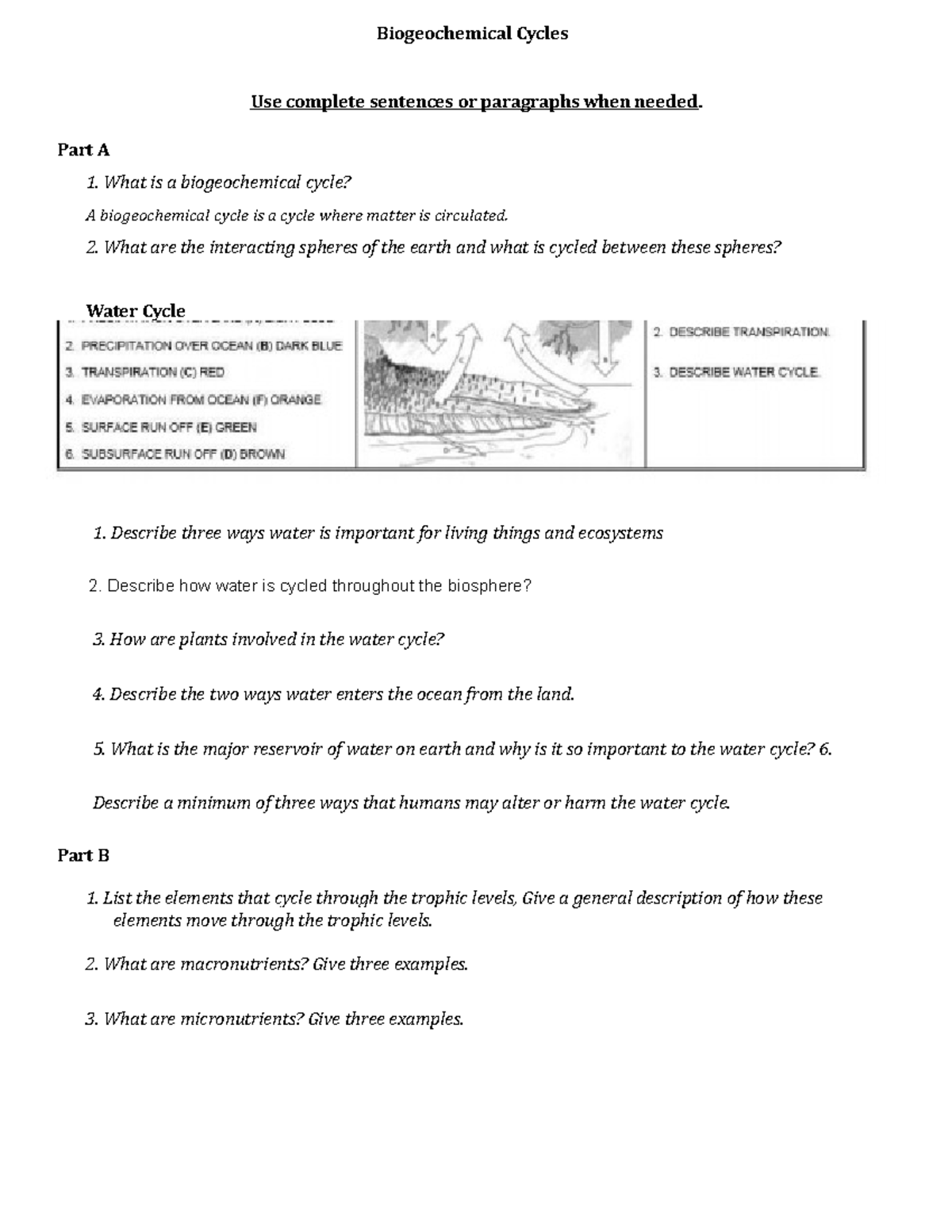Biogeochemical Cycles Worksheet - Biogeochemical Cycles Use complete ...
