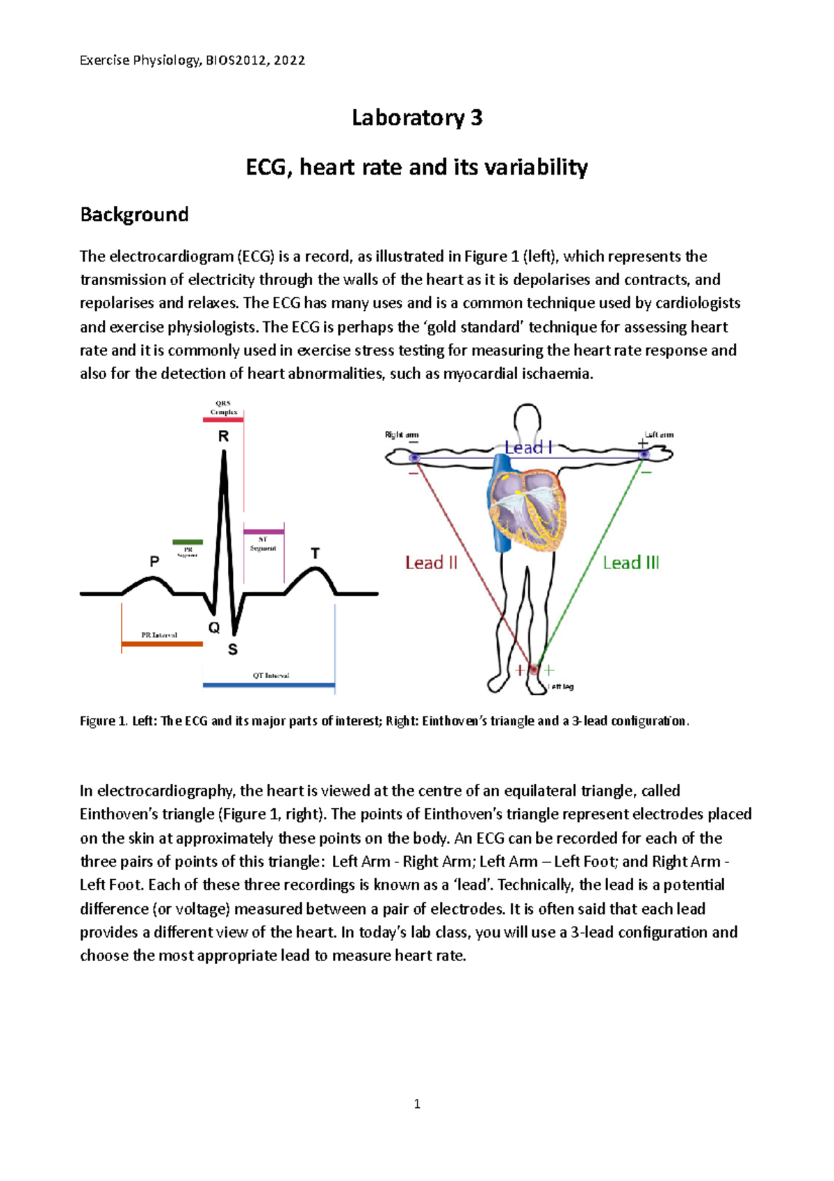 Lab3 Ex Physiol BIOS2012 2022 - Laboratory 3 ECG, heart rate and its variability Background The ...
