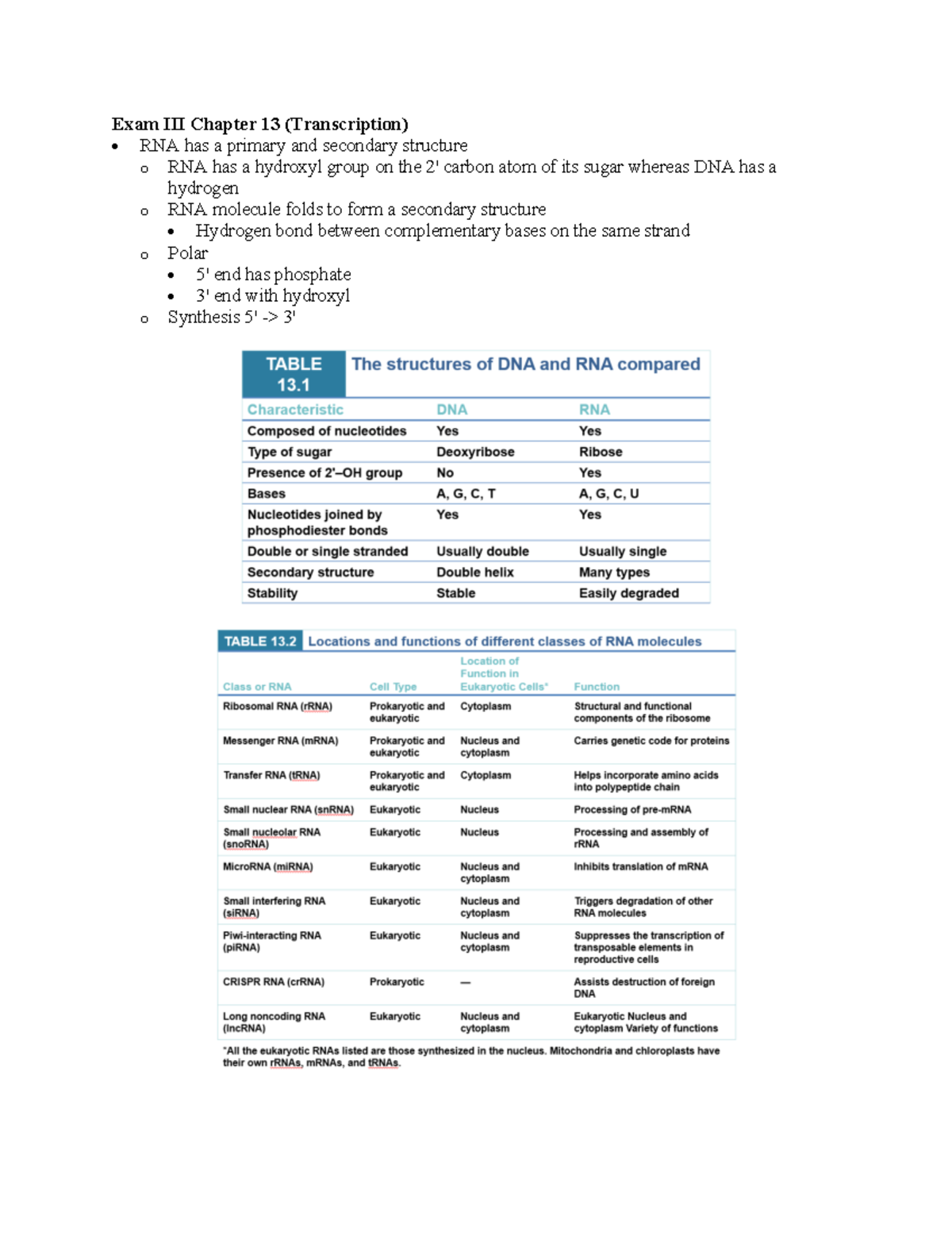 Exam Chapter 13-14: Transcription and RNA Processing - Studocu