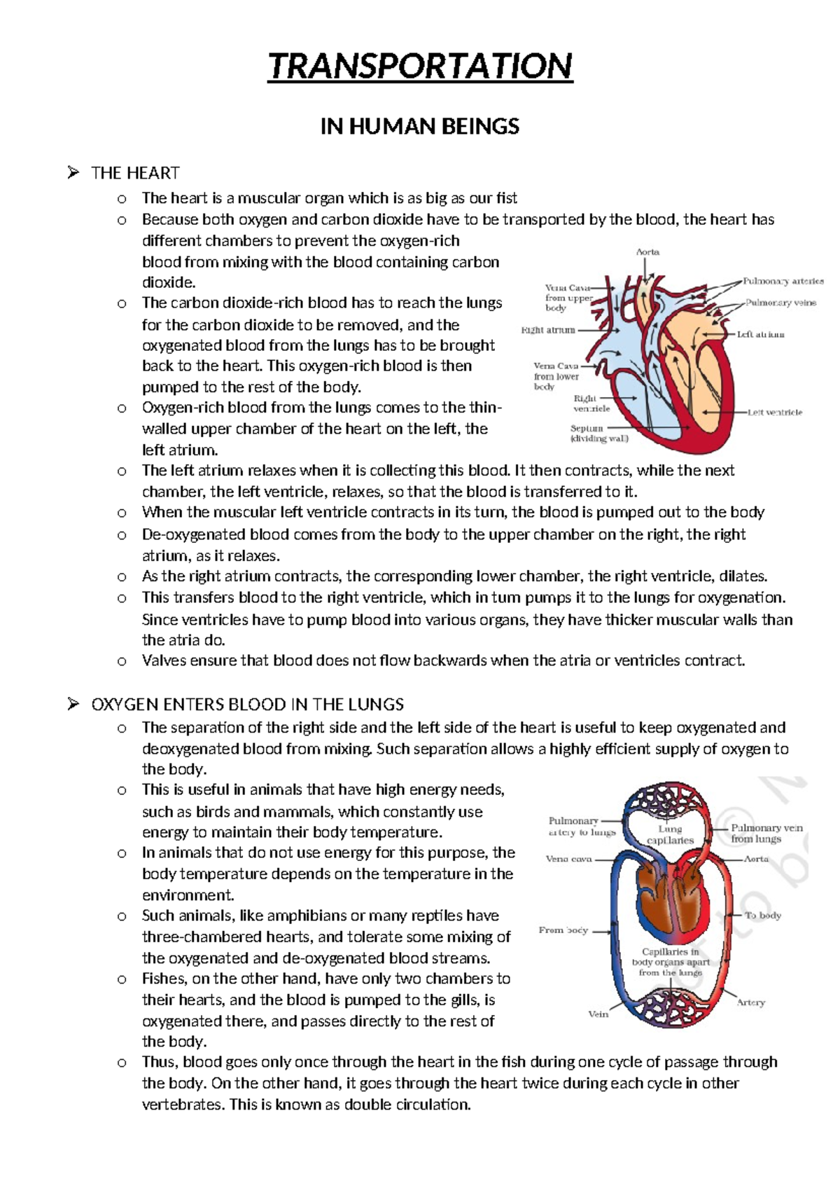 Transportation - These are best notes for biology class 10. Covers full ...