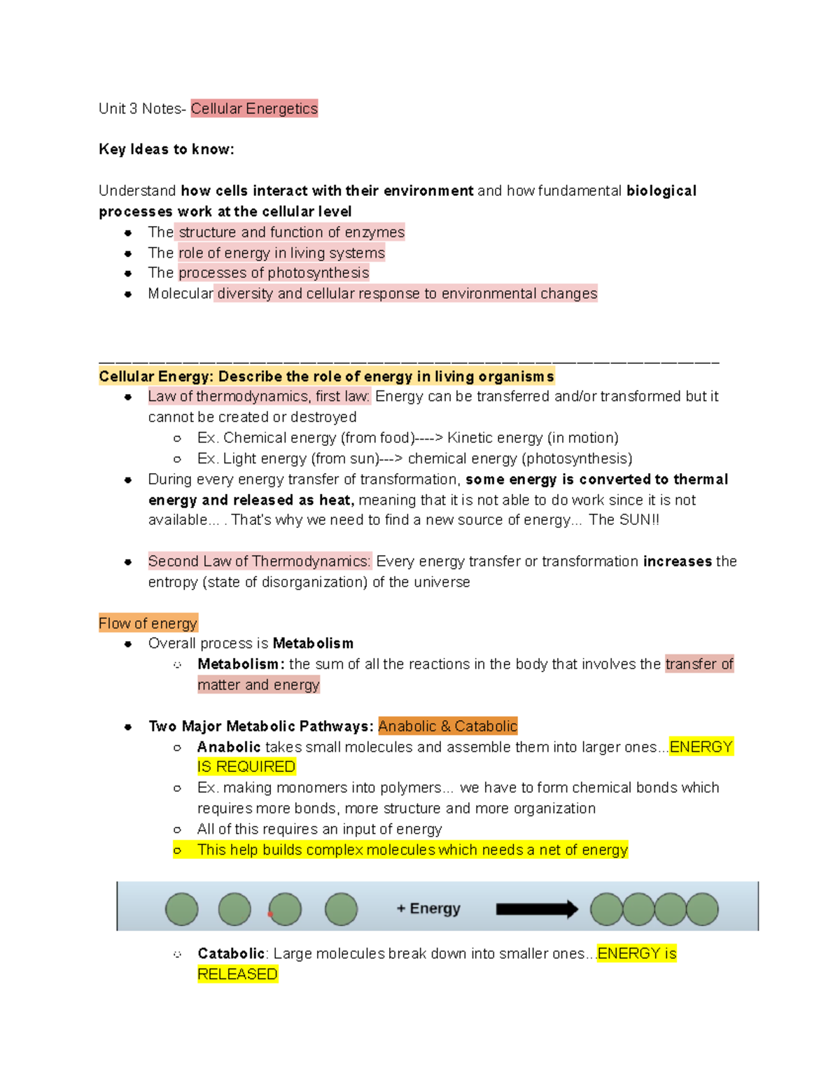 Bio unit 3 on cells - Unit 3 Notes- Cellular Energetics Key Ideas to ...