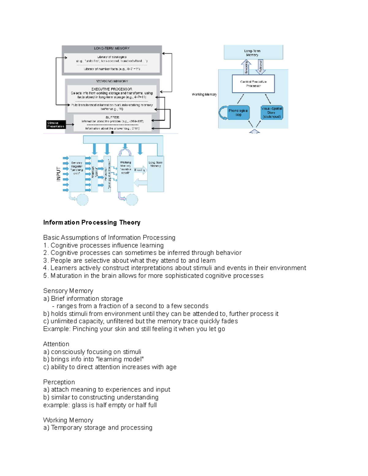 Information Processing Theory - Studocu