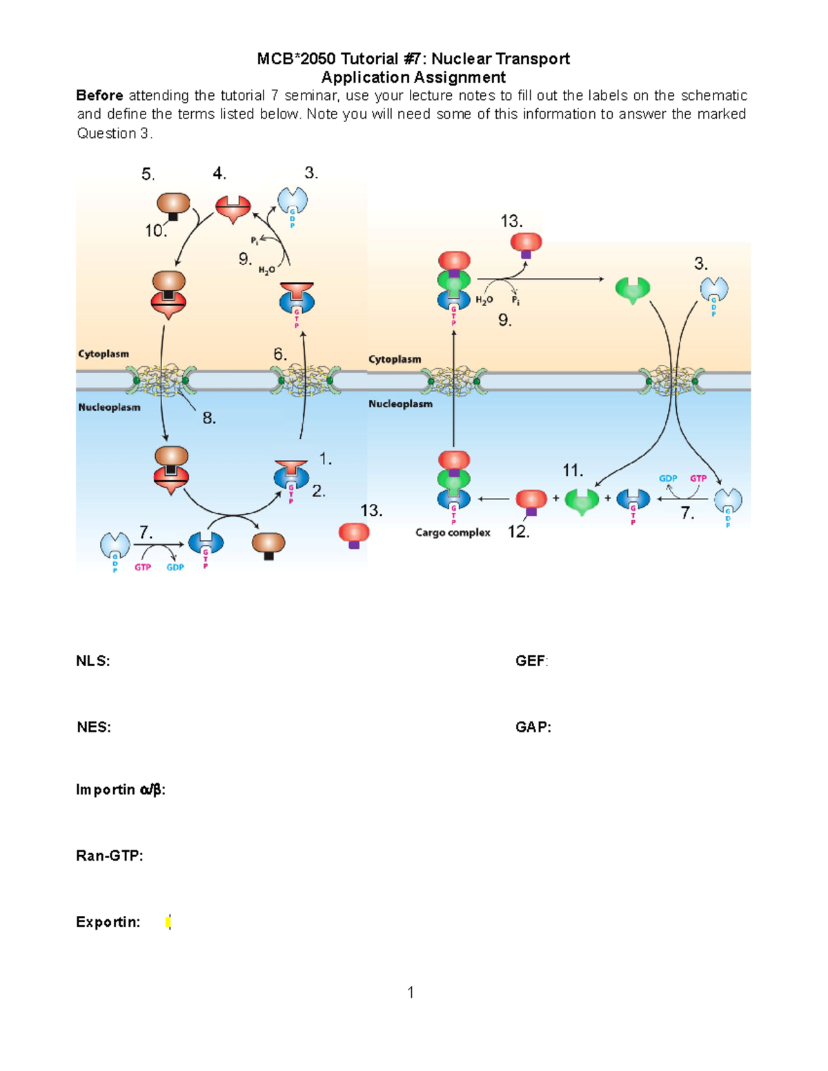 Tutorial 7 Seminar Assignment - Word doc - MCB 2050 - U of G - Studocu