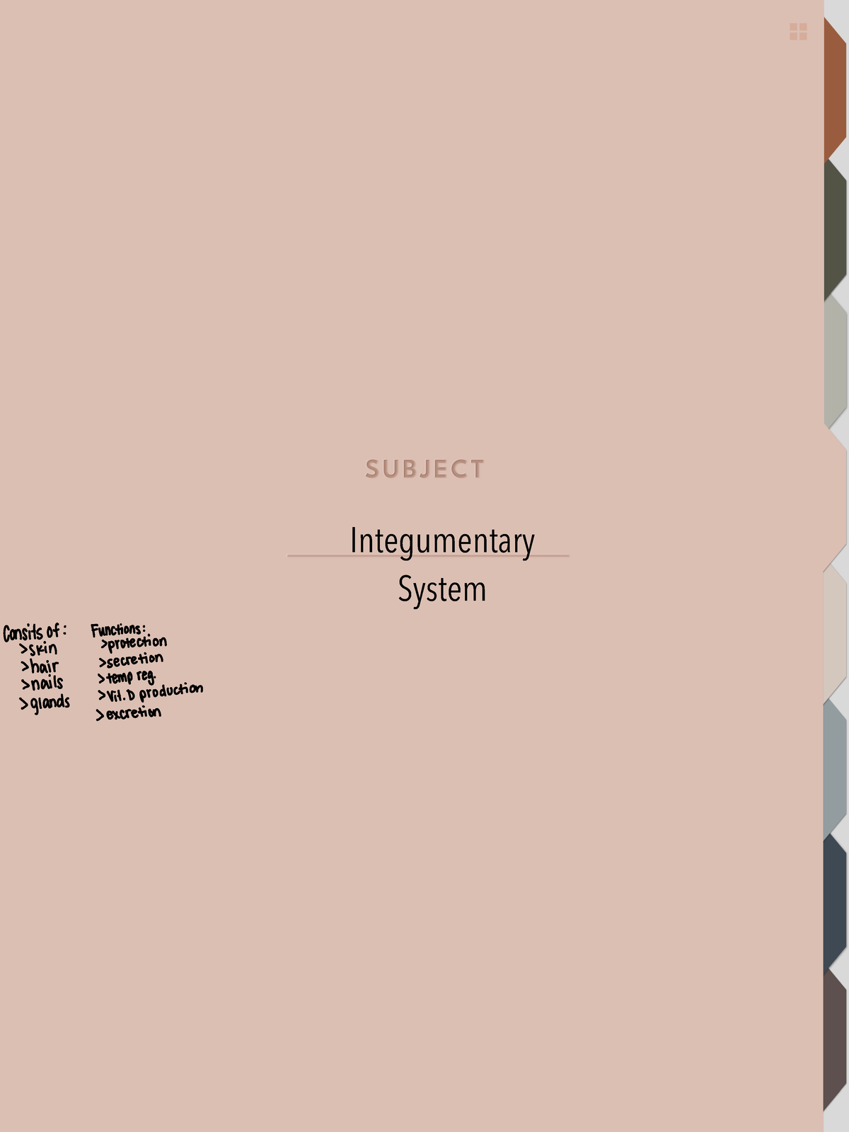 Integumentary system - Lecture notes 3 - Integumentary System fonsitsof ...