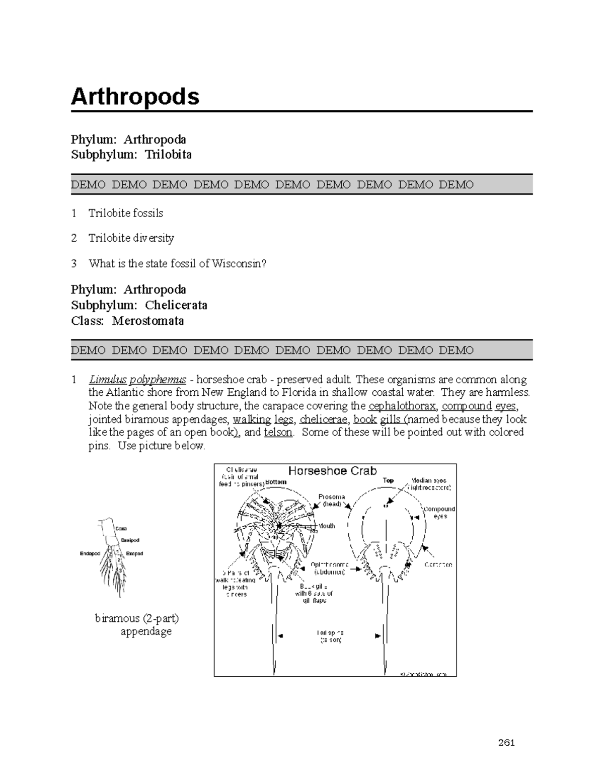 Lab 7 Arthropod Lab - Worksheet for zoology - Arthropods Phylum ...