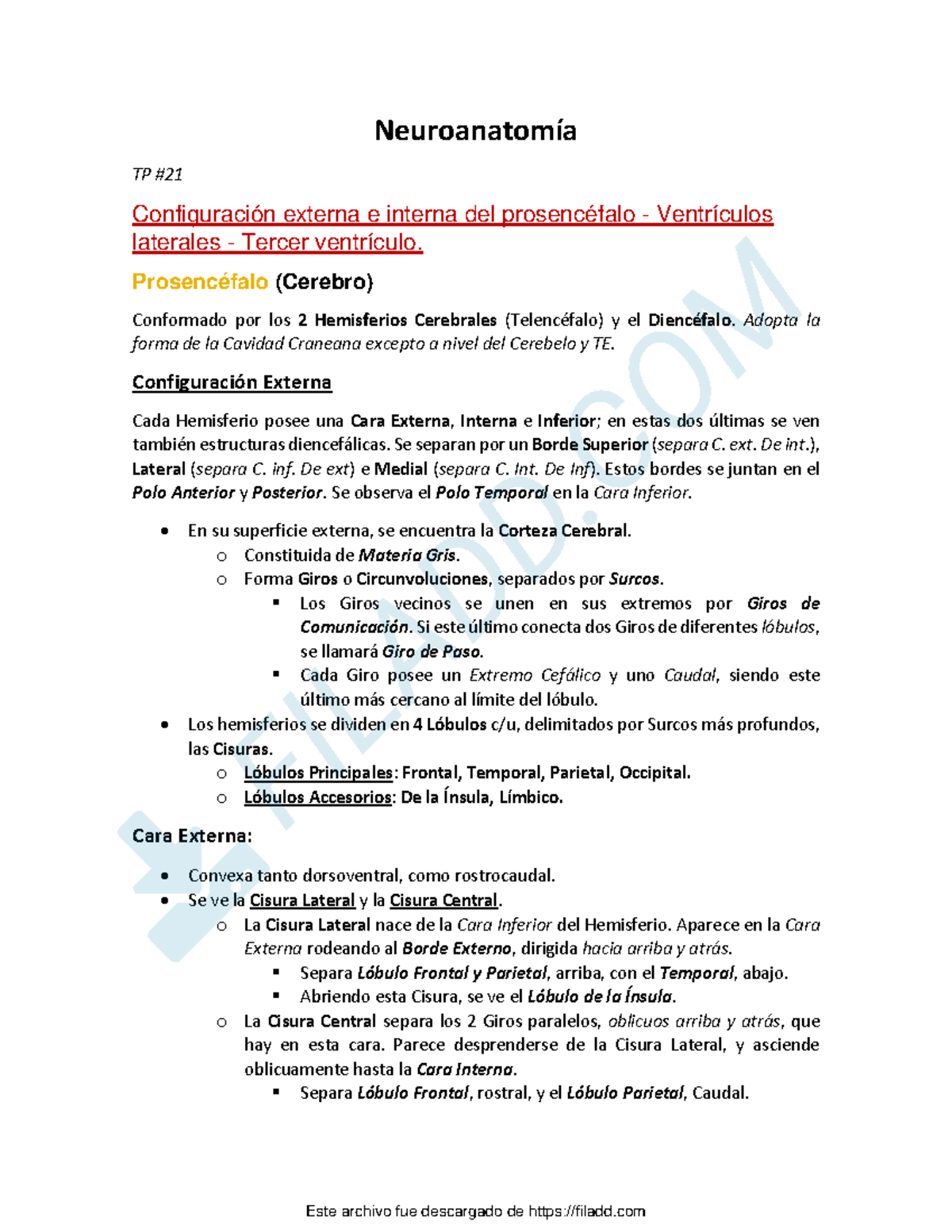 Neuro Resumen Garcas TP21 - Neuroanatomía TP Configuración externa e interna del prosencéfalo ...