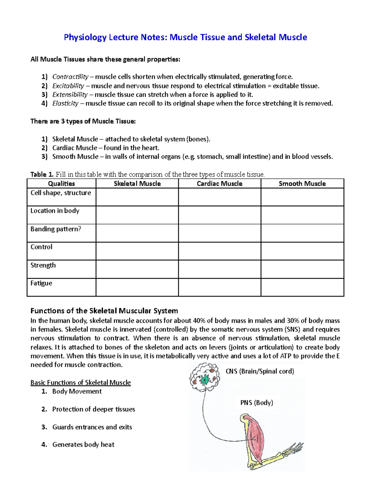 Muscle Physiol Lect Notes - Physiology Lecture Notes: Muscle Tissue and ...